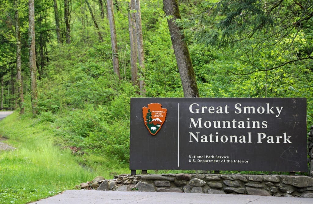 Into the Smokies: A Great Smoky Mountains Adventure from Your Willow Durham